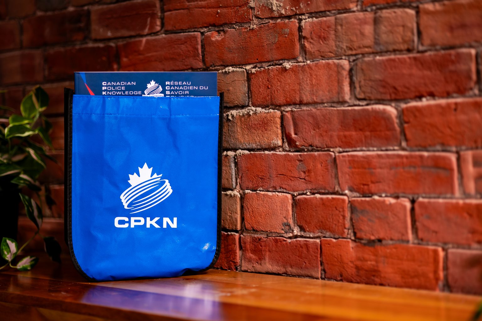 About - Canadian Police Knowledge Network